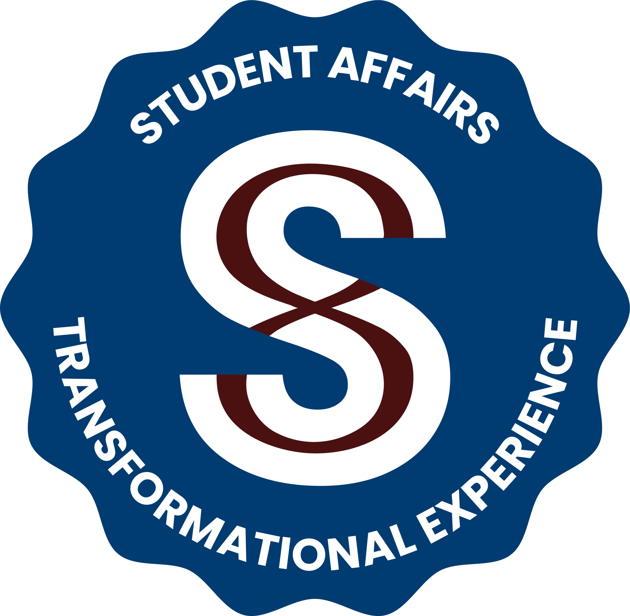 Student Affairs Transformational Experiences